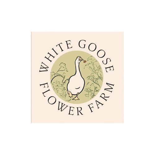 Sustainable, Nature-First British Flowers in Leicestershire & Rutland ...